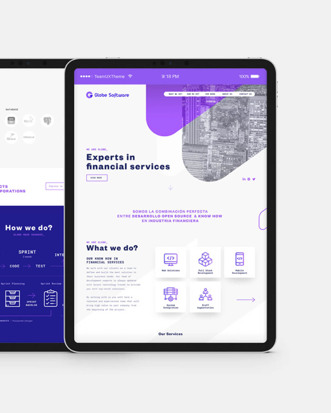Globe Software - Estudio Nómade