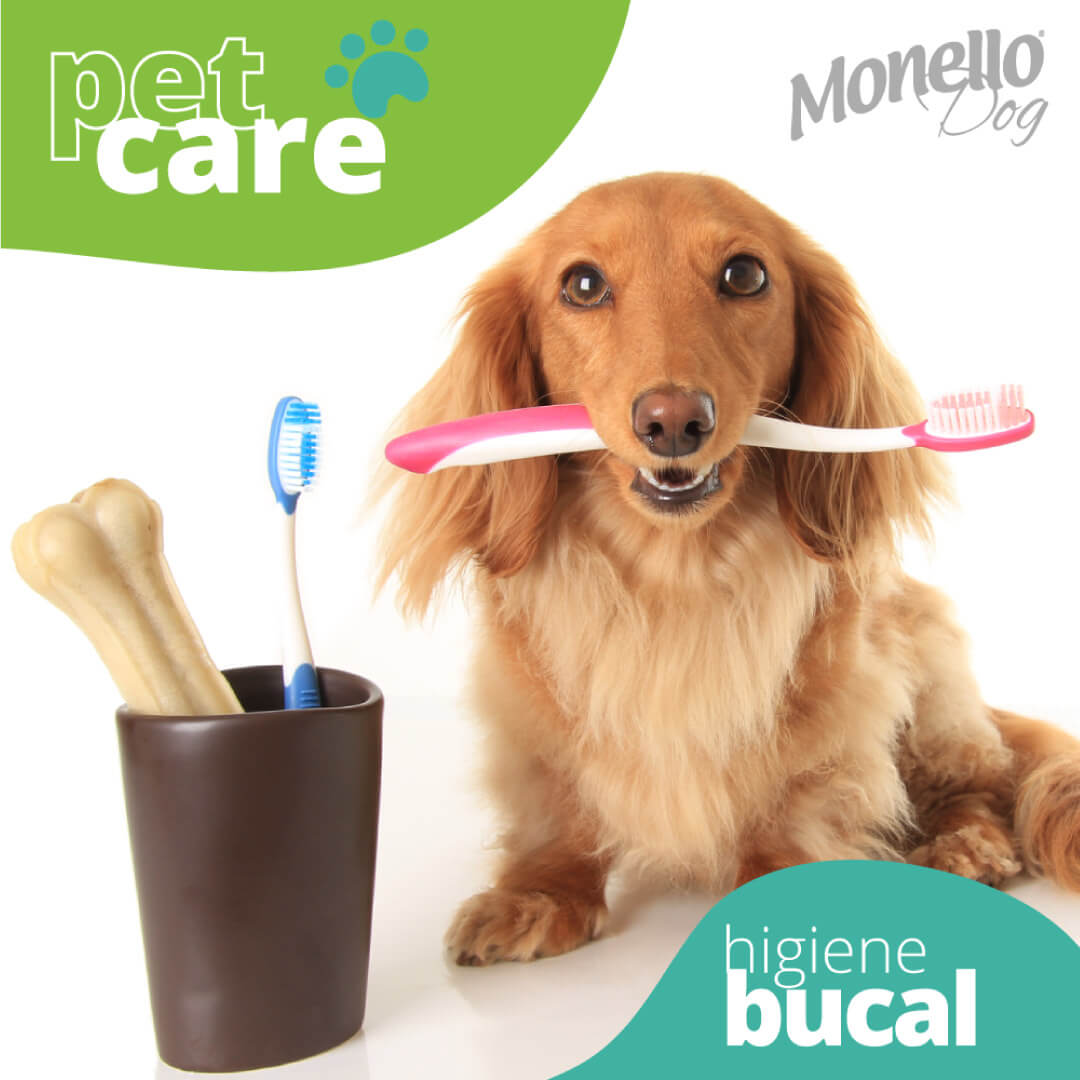 Monello - Estudio Nómade