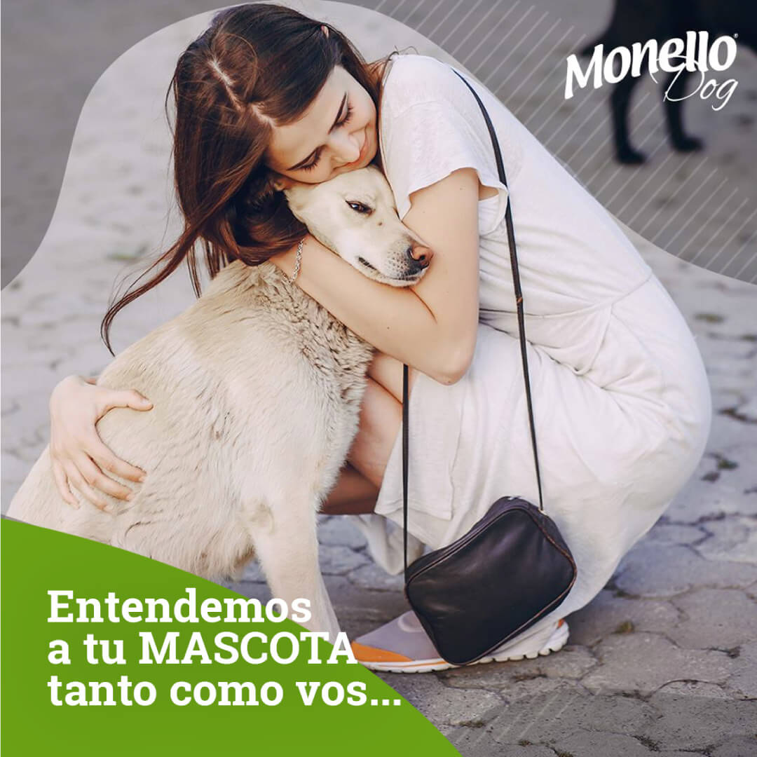 Monello - Estudio Nómade