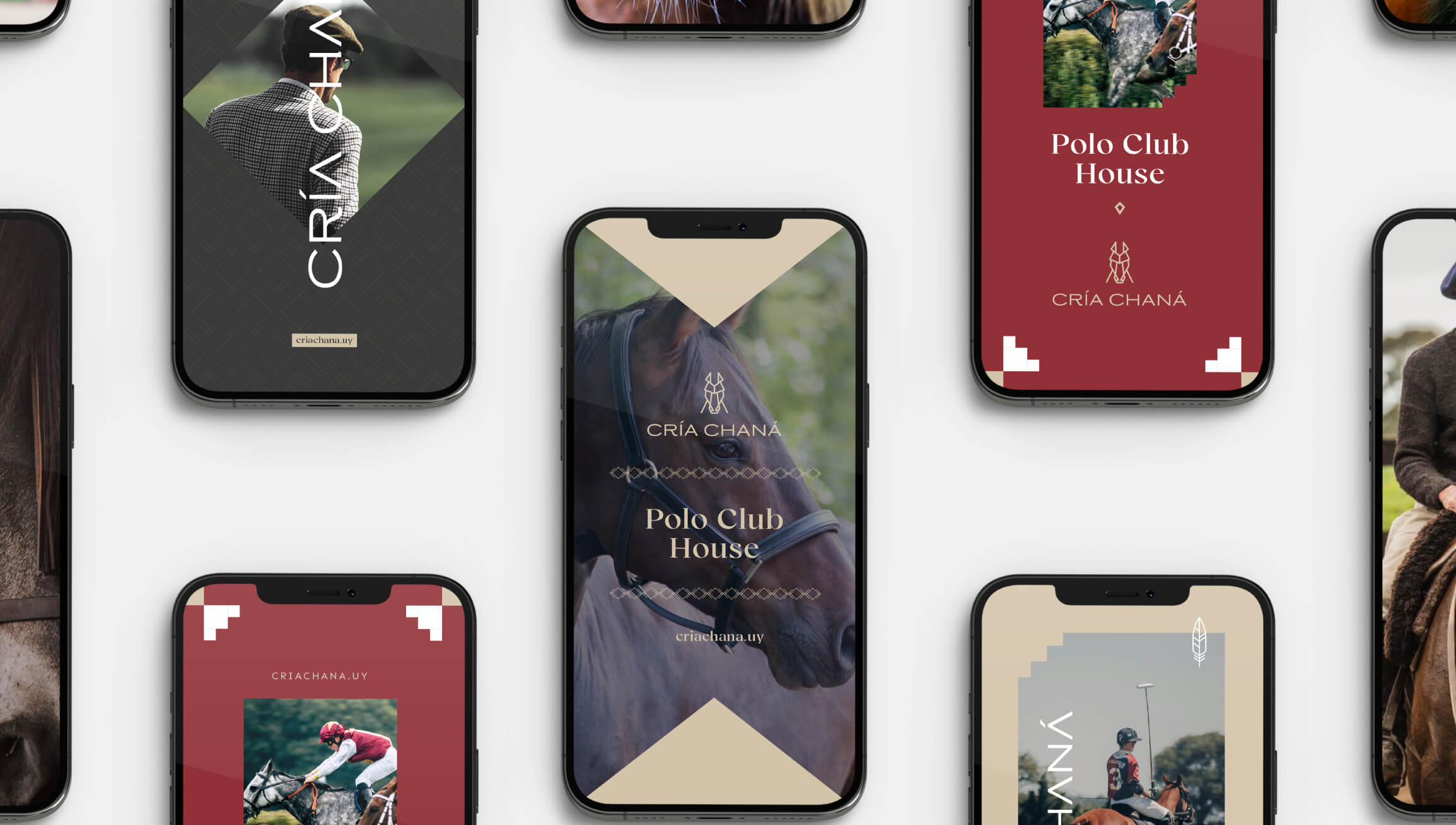 Cría Chaná - Estudio Nómade