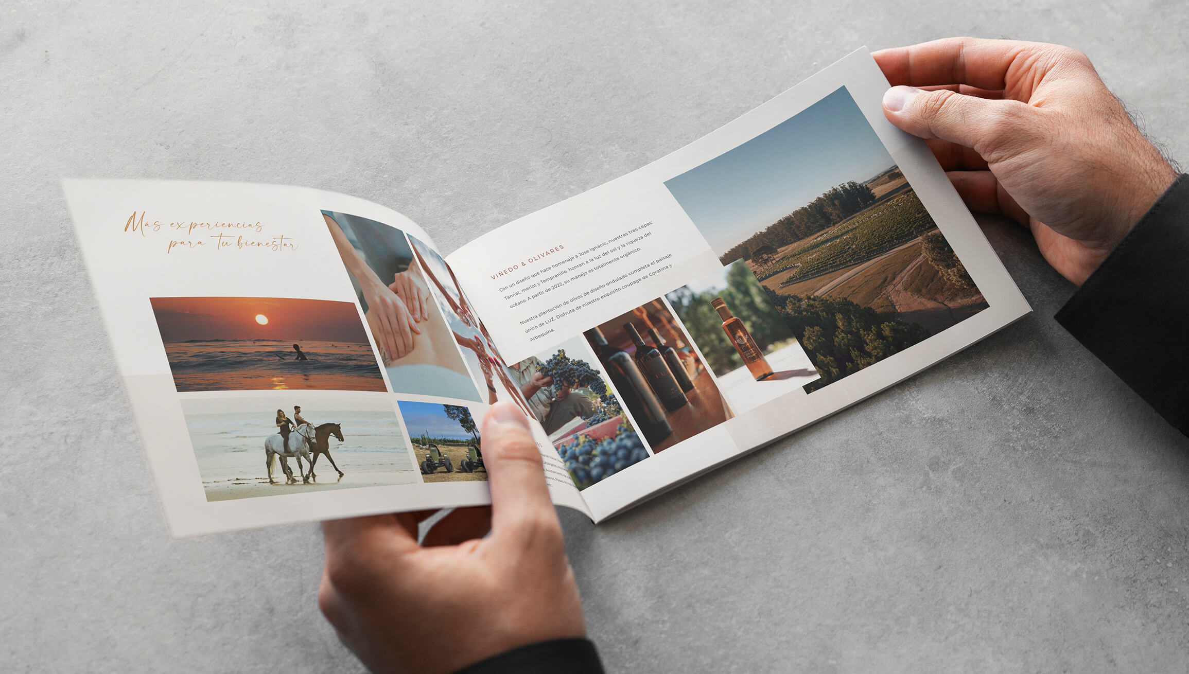 Luz Culinary Wine Lodge - Estudio Nómade